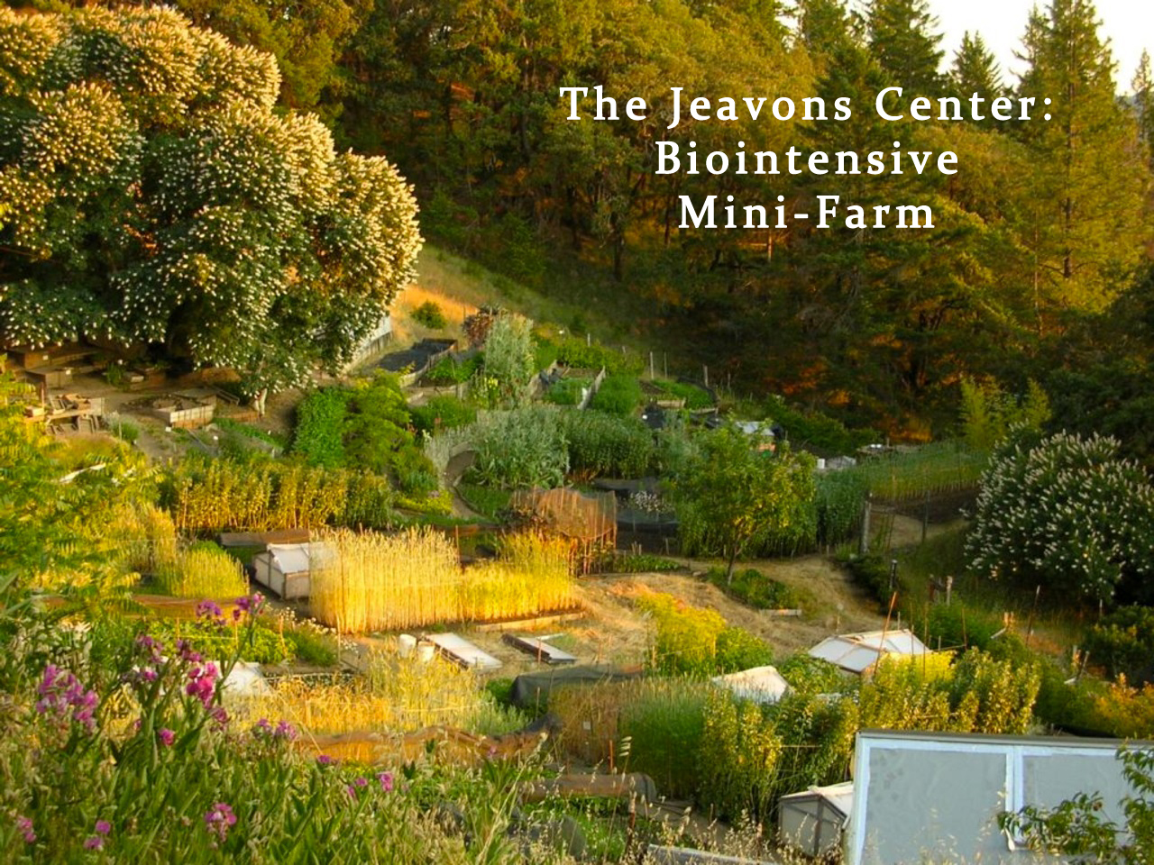Digging Deeper #8: GROW BIOINTENSIVE 8-Month Internship – John Jeavons